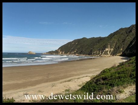 The Beach | DeWetsWild