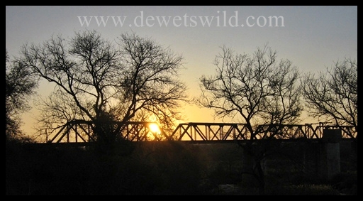 Nostalgic: The Selati Line | DeWetsWild