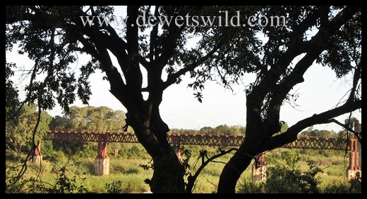 Nostalgic: The Selati Line | DeWetsWild