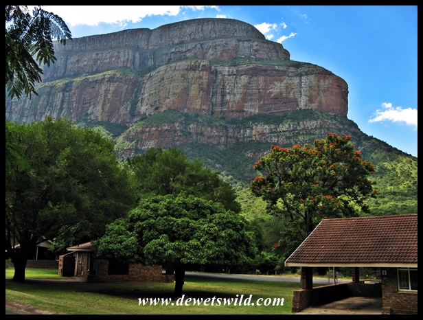 Blyde Canyon – Swadini (19/02/2014) | DeWetsWild