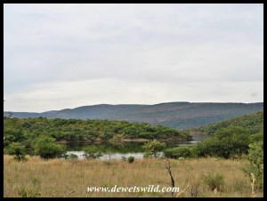 Loskop Dam Nature Reserve | DeWetsWild