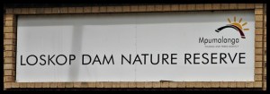 Loskop Dam Nature Reserve | DeWetsWild