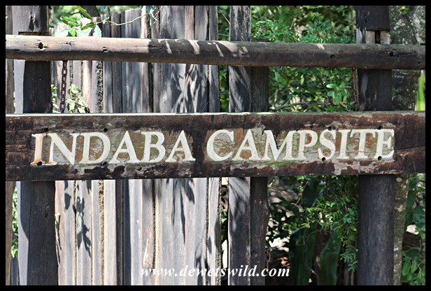 Umlalazi Intro (25) | DeWetsWild