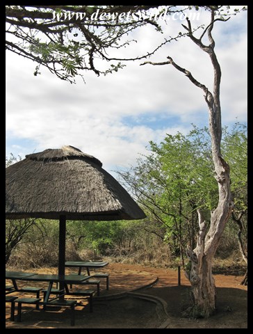 Lower Sabie Rest Camp, Kruger National Park | DeWetsWild