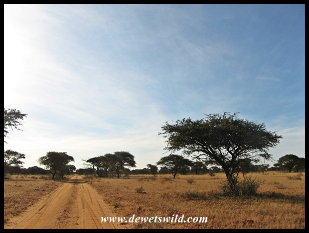 Mokala National Park | DeWetsWild