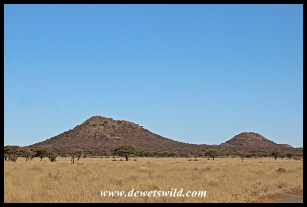 Mokala National Park | DeWetsWild